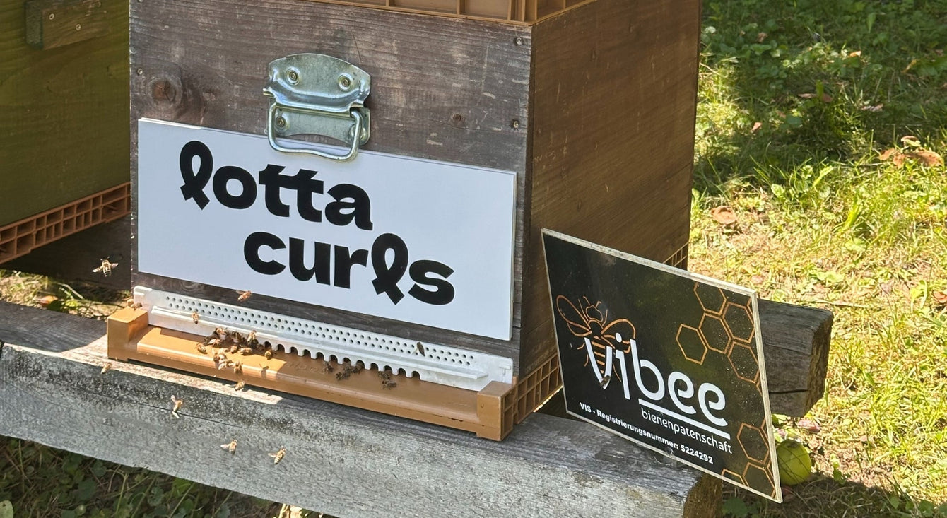 Lotta Curls wird Bienenpatin – für mehr Summen, Blüten & Zukunft 🐝 ...